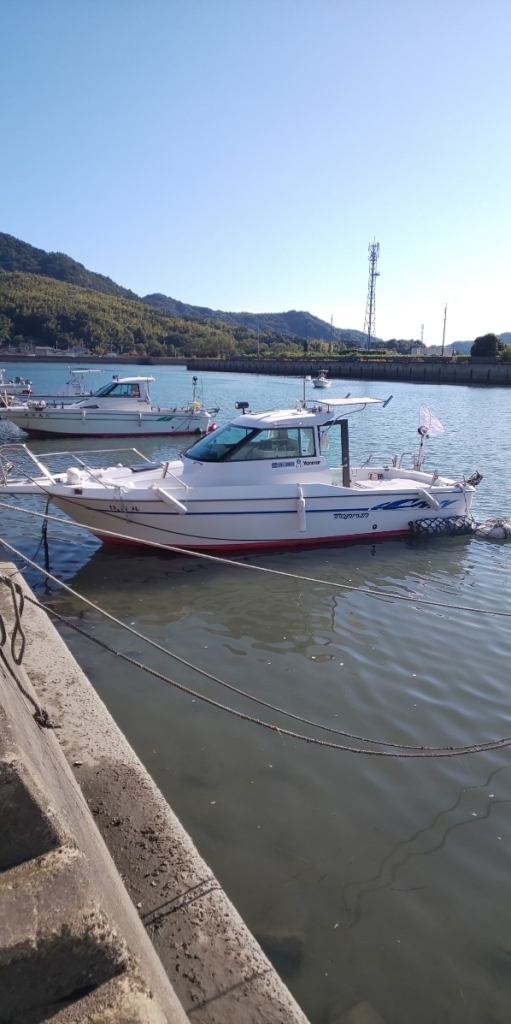 ヤンマー FX24CZ－1K | 【中古艇ドットコム】 中古ボート・ヨットの個人売買応援サイト