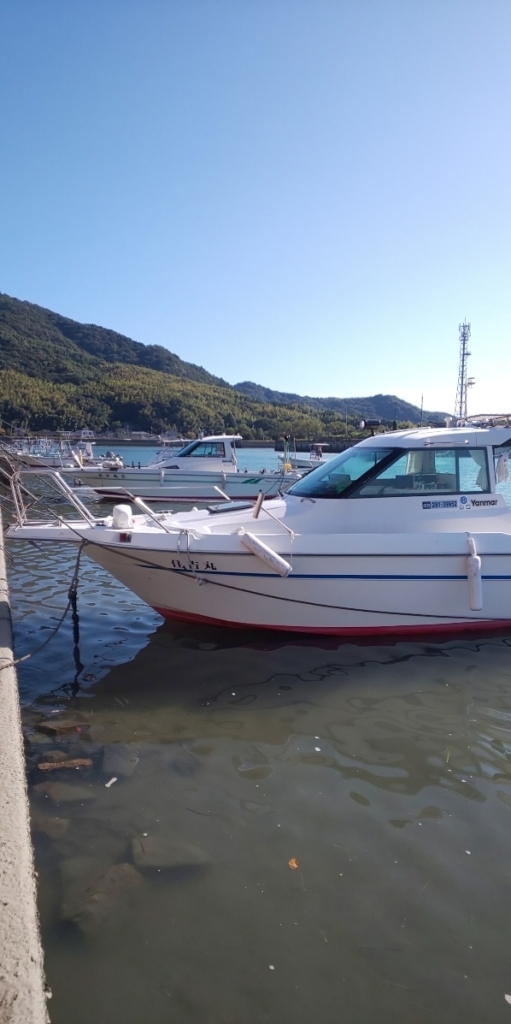 ヤンマー FX24CZ－1K | 【中古艇ドットコム】 中古ボート・ヨットの個人売買応援サイト