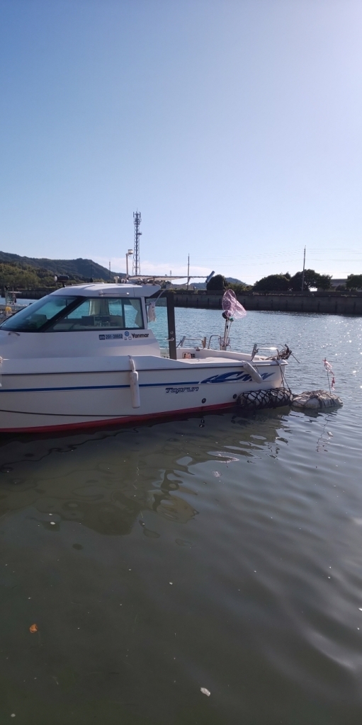 ヤンマー FX24CZ－1K | 【中古艇ドットコム】 中古ボート・ヨットの個人売買応援サイト