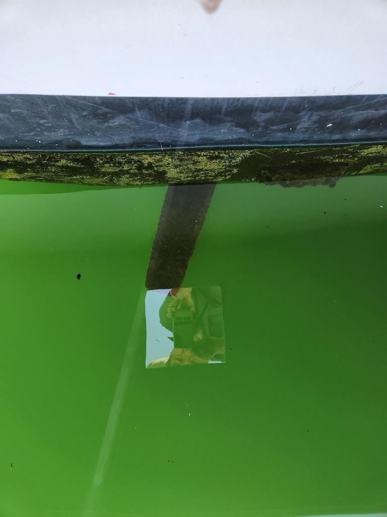 ヤマハ DX-39J | 【中古艇ドットコム】 中古ボート・ヨットの個人売買応援サイト