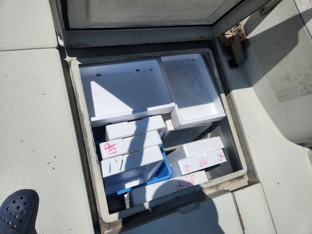 ヤマハ DX-39J | 【中古艇ドットコム】 中古ボート・ヨットの個人売買応援サイト