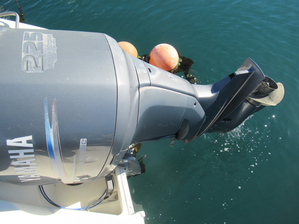 ヤマハ FR-24 | 【中古艇ドットコム】 中古ボート・ヨットの個人売買応援サイト